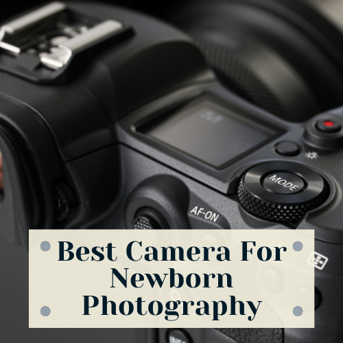 The Best Camera For Newborn Photography - Photoeaze